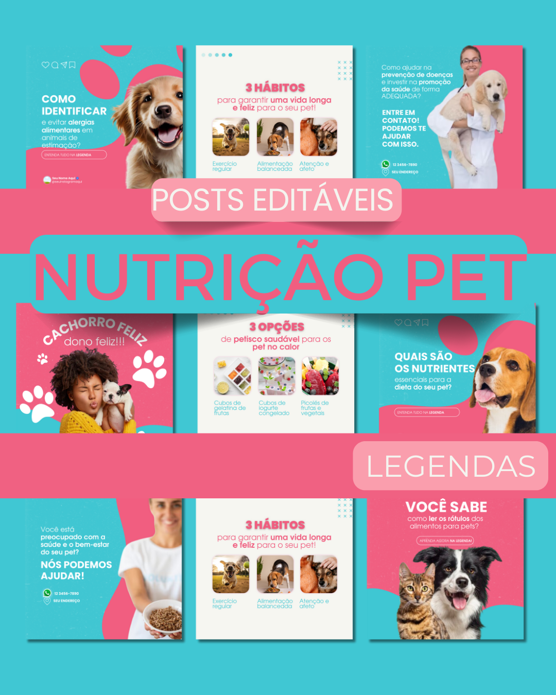 Pack Canva Nutri Pet - Margarete Tolentino | Hotmart
