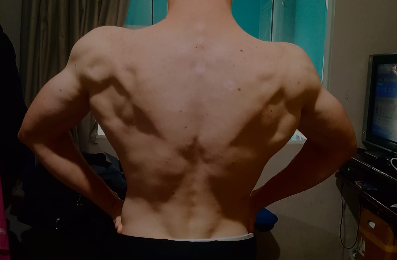 6 Passos para o físico Natural Perfeito - carmem barbiot | Hotmart