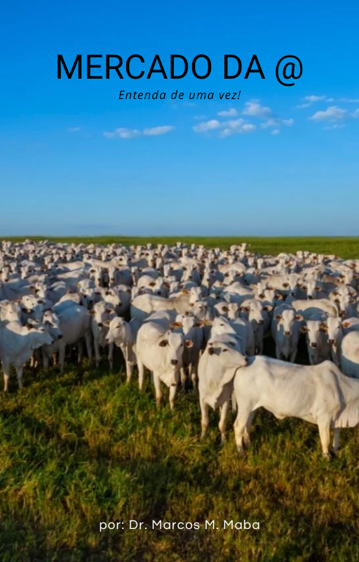 Mercado da @: Entenda de uma vez - Marcos Maciel Maba | Hotmart