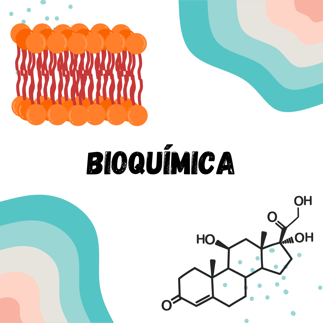 Resumo bioquímica