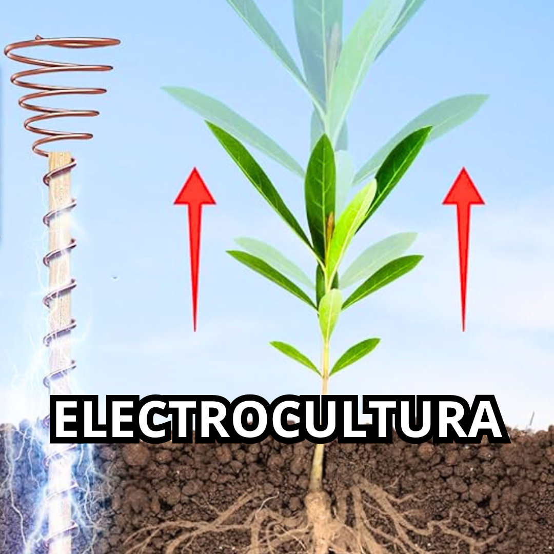 Electrocultura paso a paso - Franco tisera | Hotmart