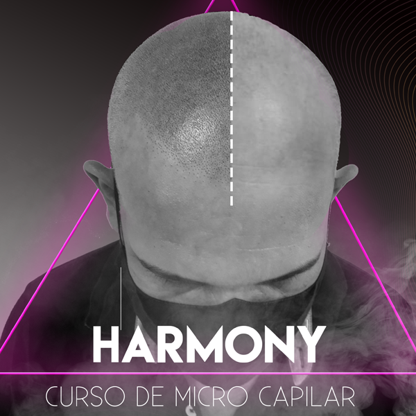 Harmony SMP