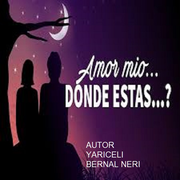 AMOR MIO DONDE ESTAS - YARICELI BERNAL NERI | Hotmart