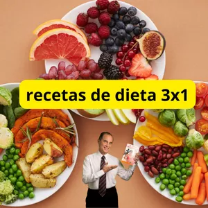 Recetas para Dieta 3x1 Premium - Frank Suarez
