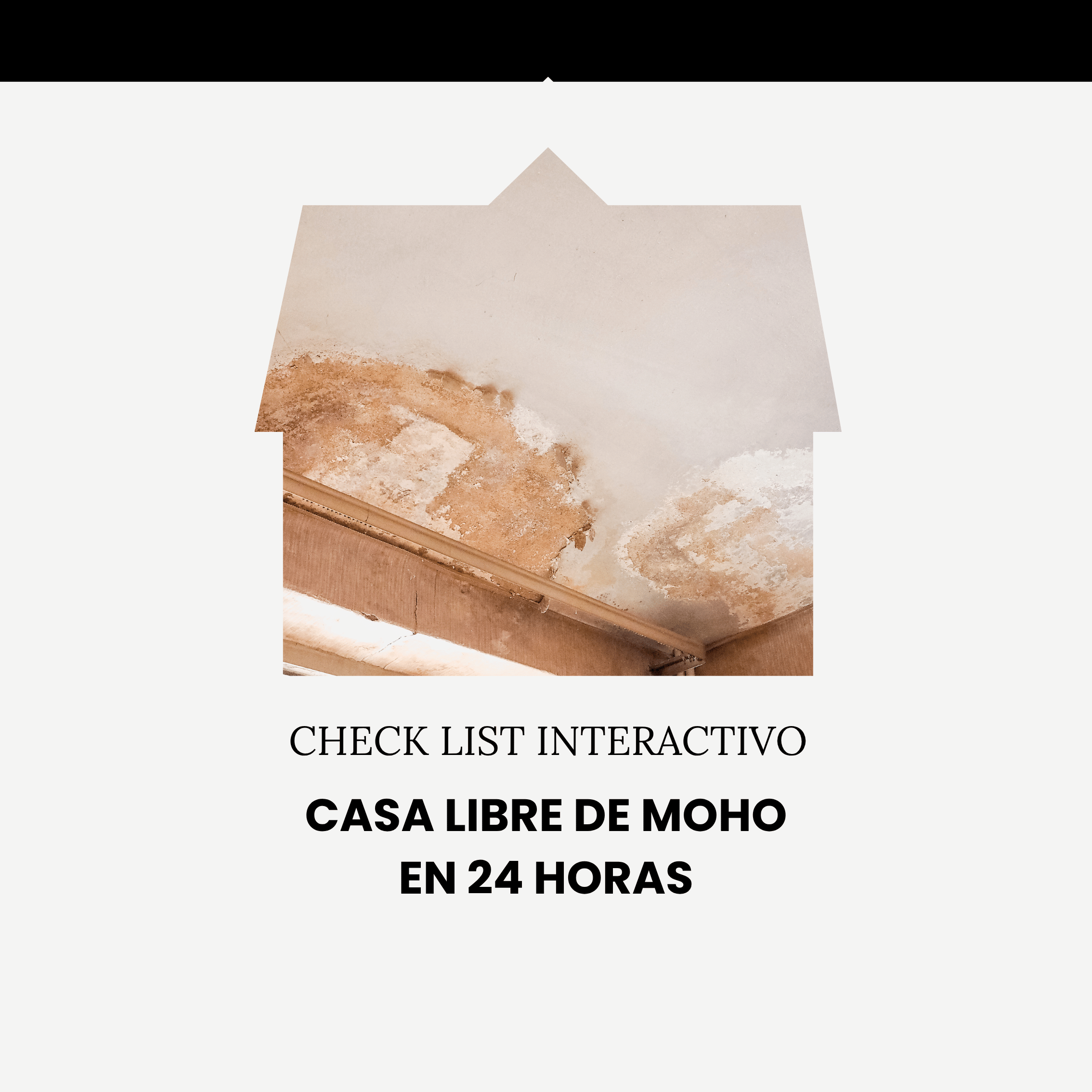 CHECKLIST INTERACTIVO: CASA LIBRE DE MOHO EN 24 HORAS - Hugo Ricard...