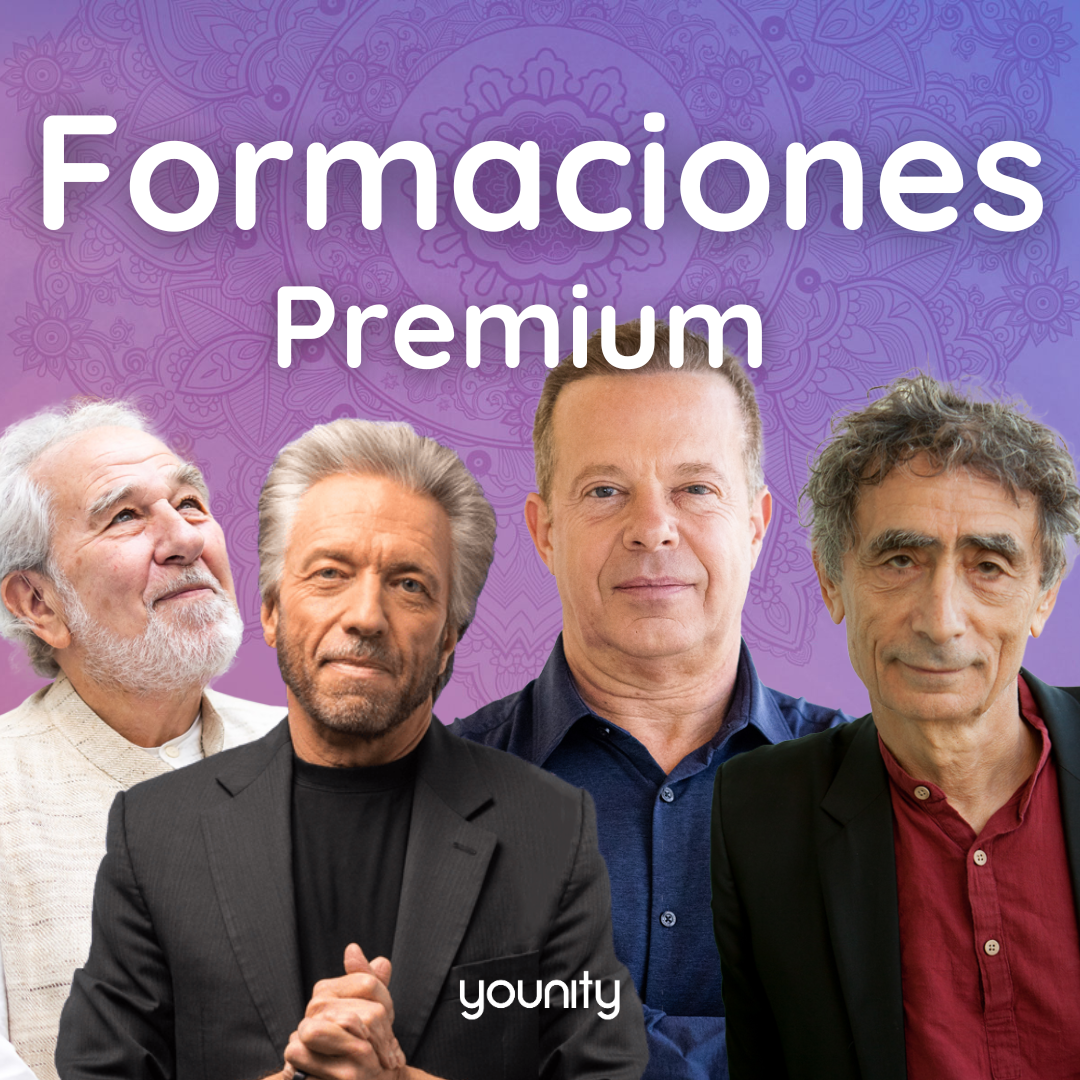 Formaciones Premium Flow Summit 2024