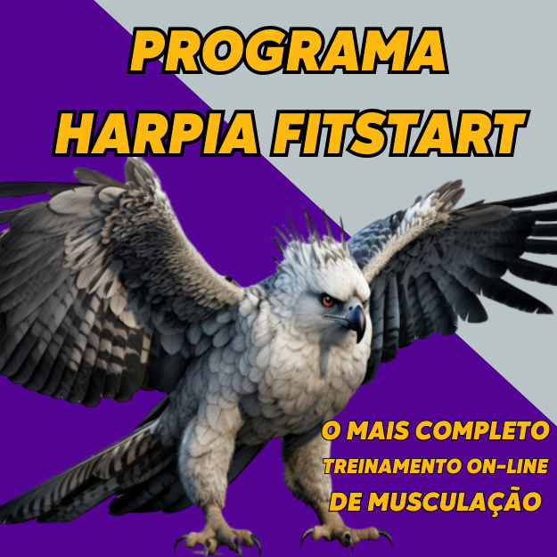 Fichas de Treinos em PDF - Programa Harpia FitStart: 12 Meses de ...