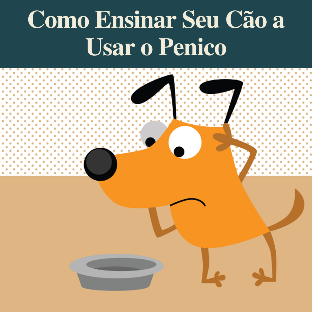 Ensinando o Cão a Usar Penico - Wesley Oliveira | Hotmart