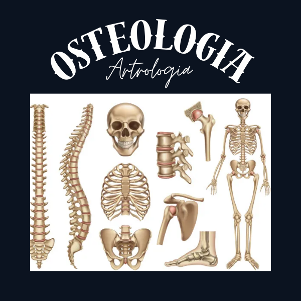 Osteologia/Artrologia
