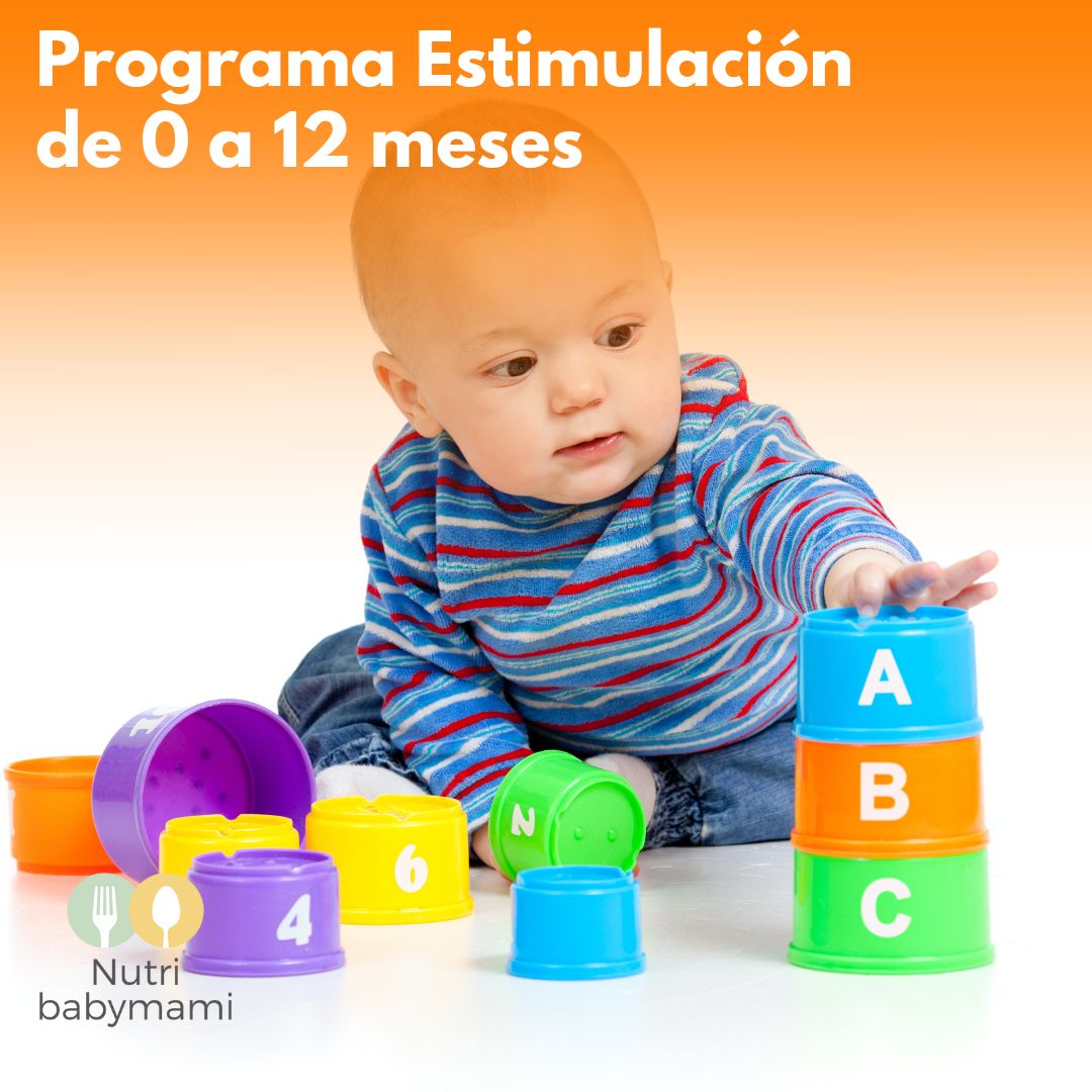 🚀Programa Estimulación Temprana de 0 a 12 meses - Nutri baby mami ...