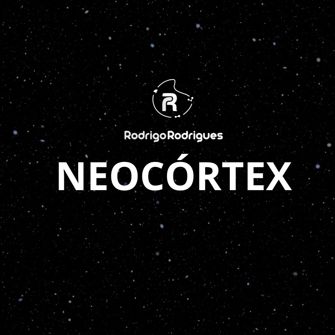 Neocórtex: Como o Cérebro Funciona e Aprende - Rodrigo Rodrigues