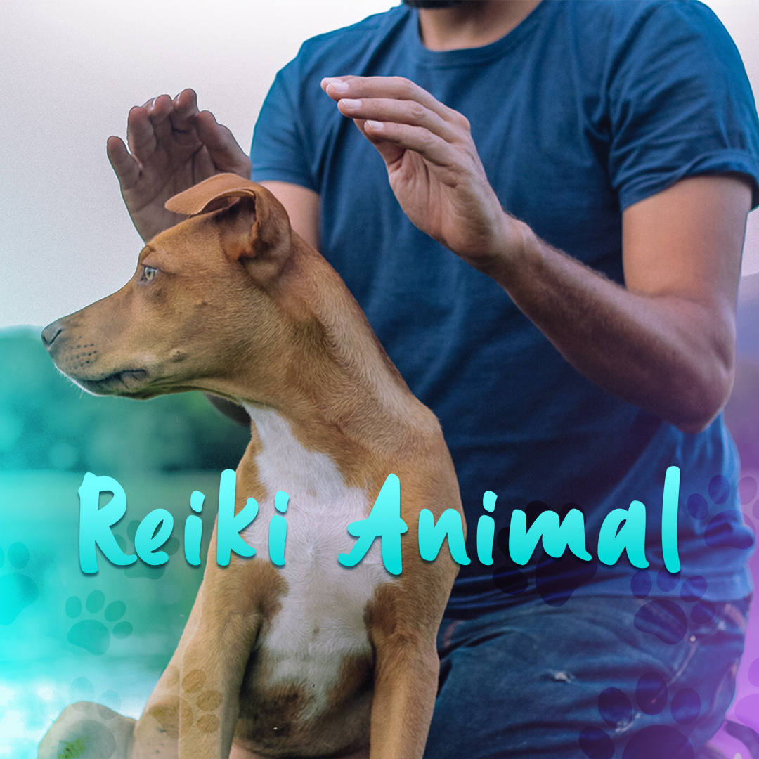 Curso Reiki Animal - Ricardo Rodrigues Garé | Hotmart