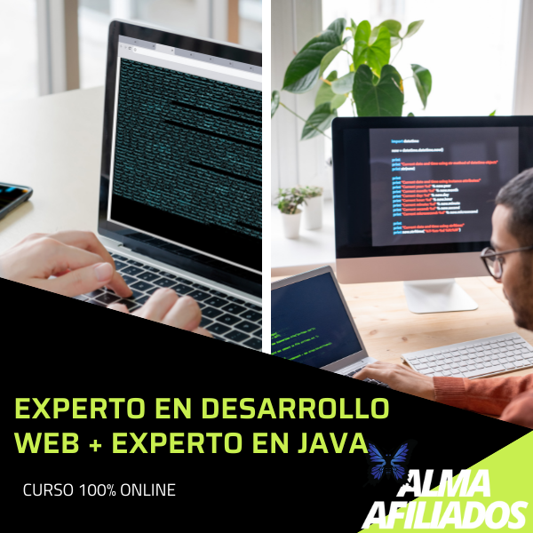 Experto en Desarrollo web + Experto en Java