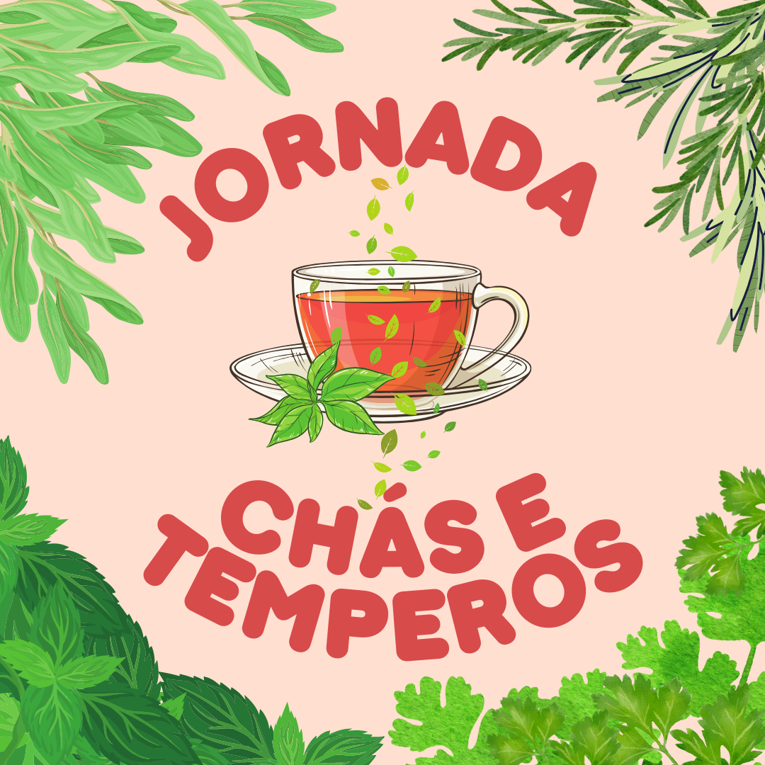 Jornada dos chás e temperos - Raí Rech Prof | Hotmart