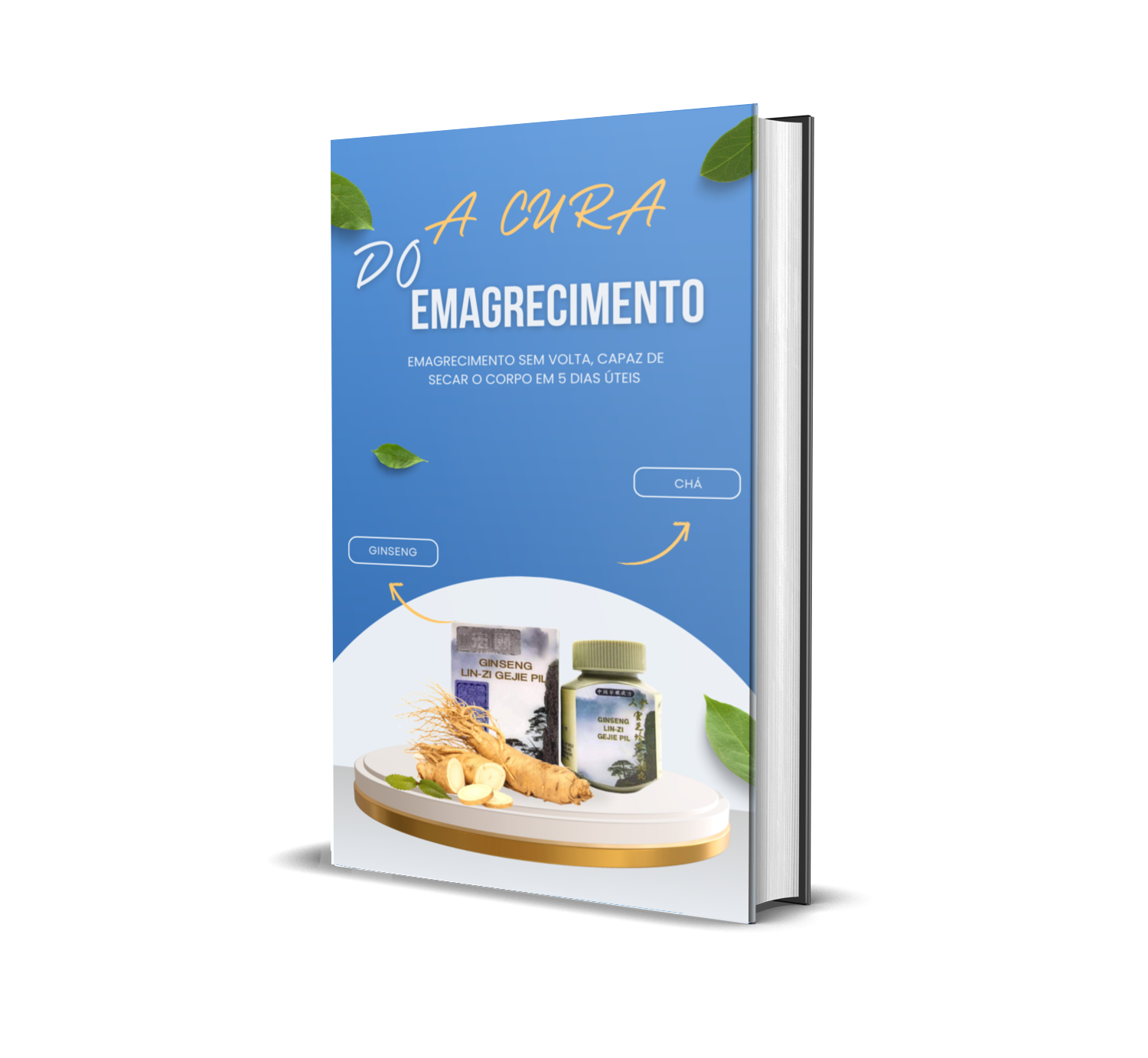 A CURA DO EMAGRECIMENTO ( GINSENG ) - ALBERTO CATIMBA CHITATA | Ho...