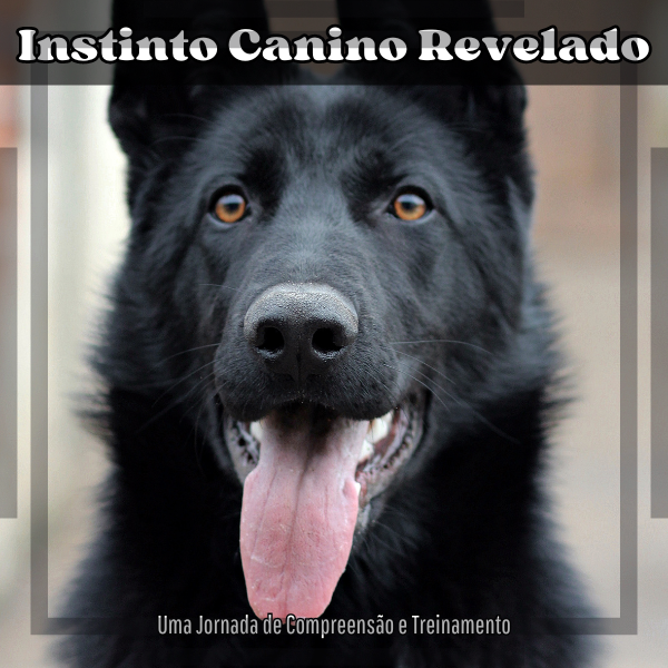 INSTINTO CANINO REVELADO - Reginaldo G. (E-Marketing) | Hotmart