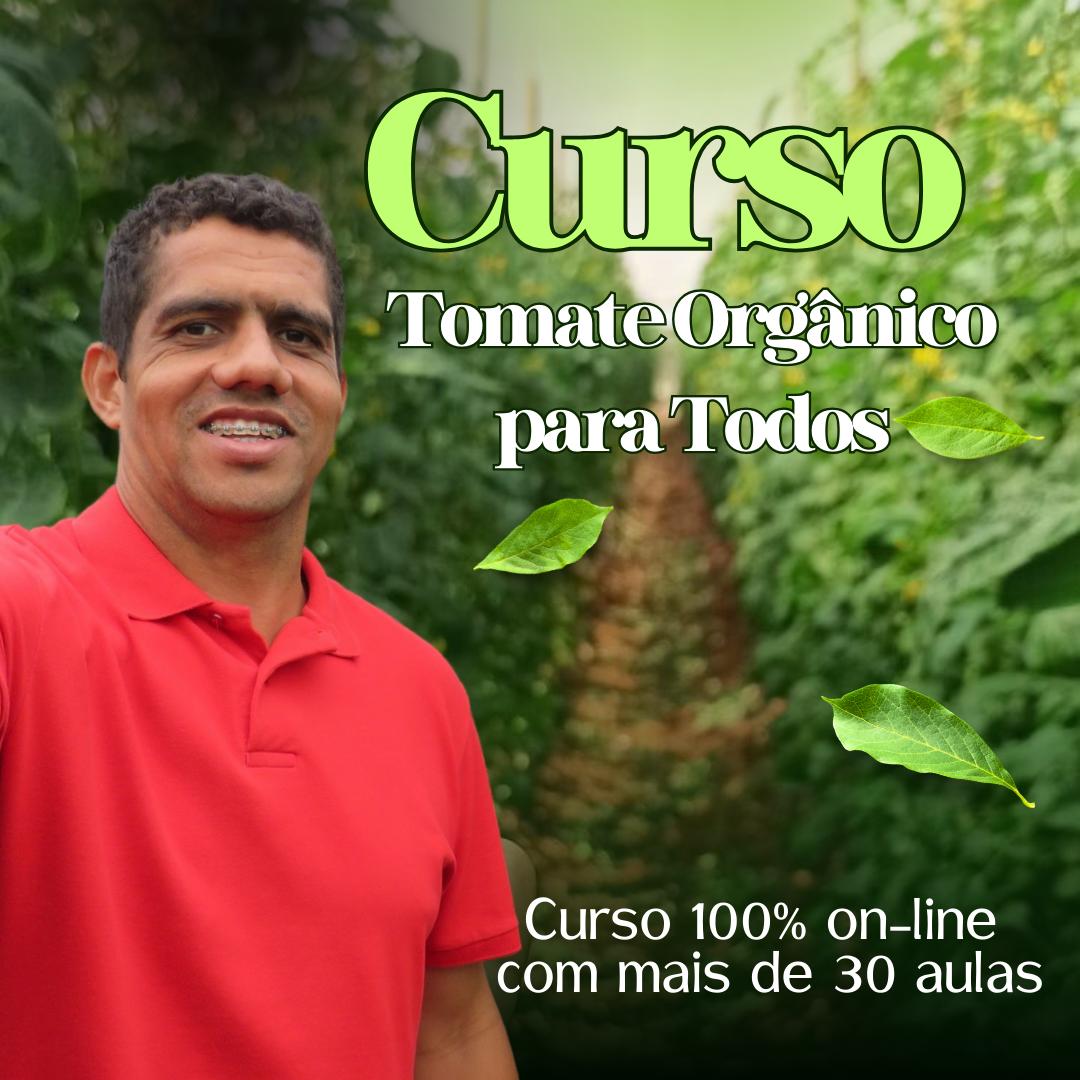 Curso Tomate Orgânico Para Todos