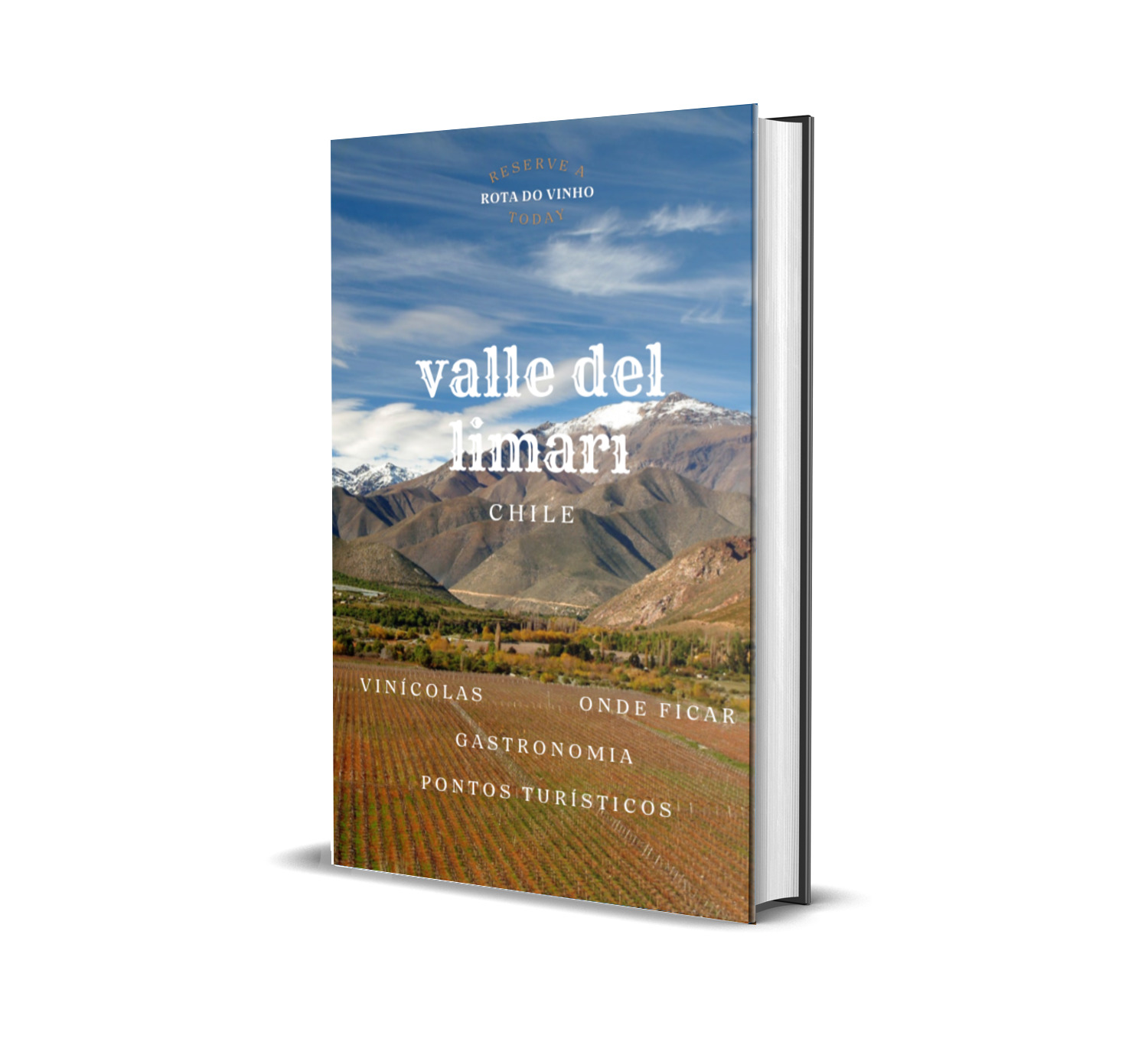 Rota do Vinho - Valle del Limarí Chile - Adeizon Emilio | Hotmart