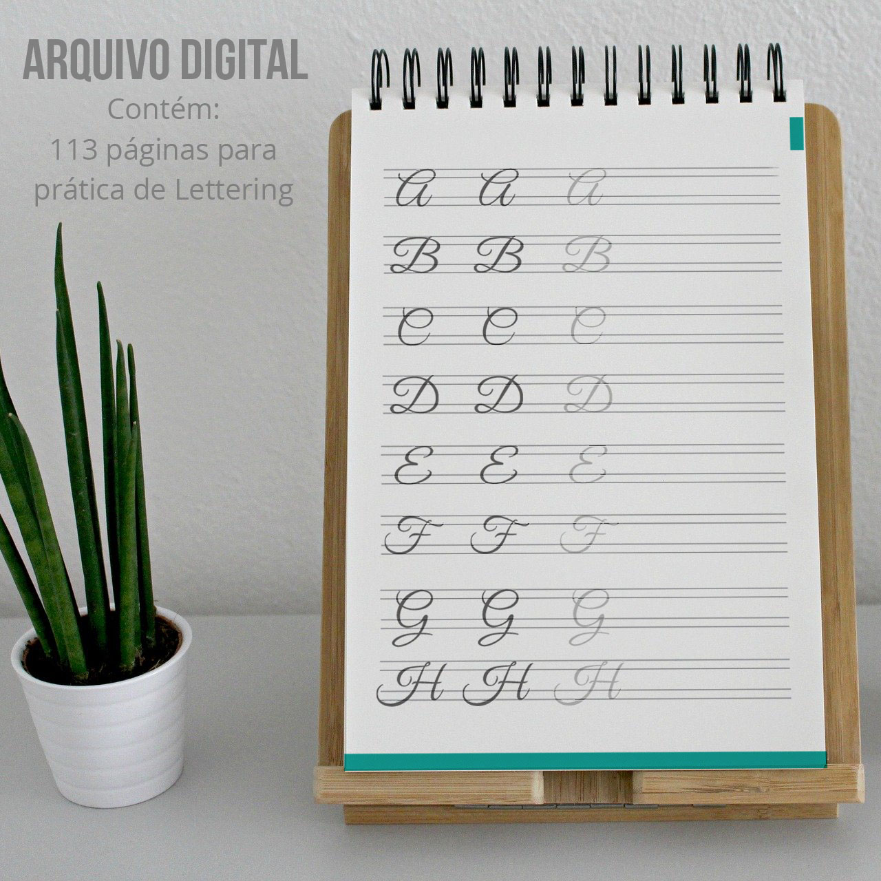 Apostila para treinamento de Lettering