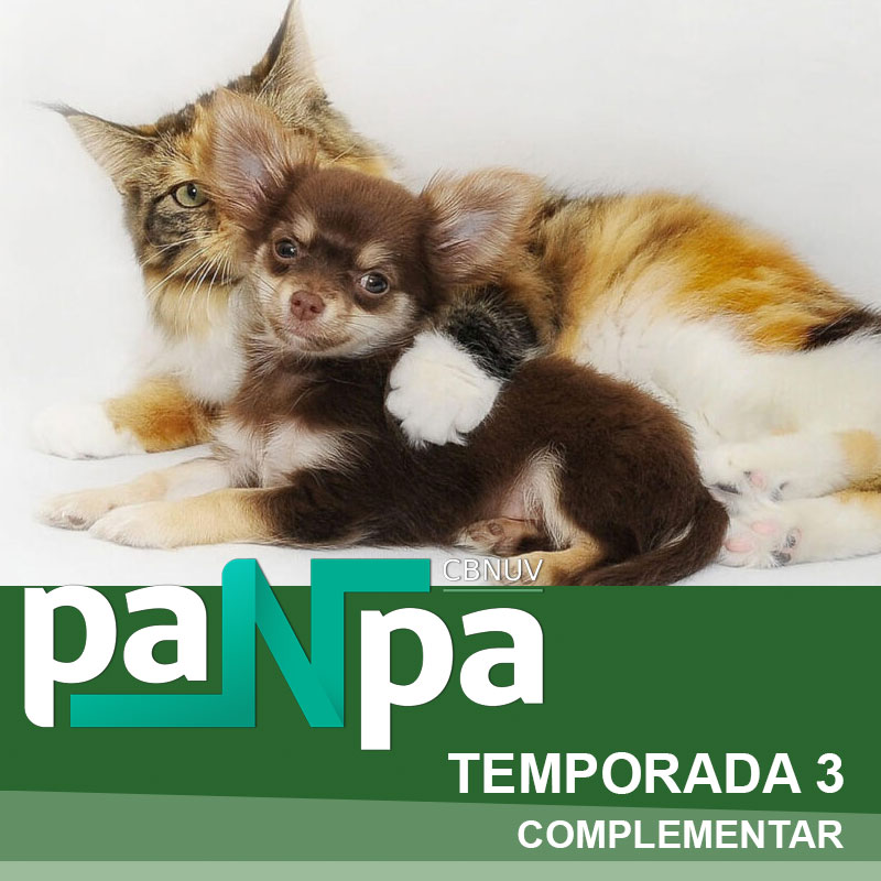 PaNpa temporada 3 - EAÍ?! Programas de aprimoramento | Hotmart