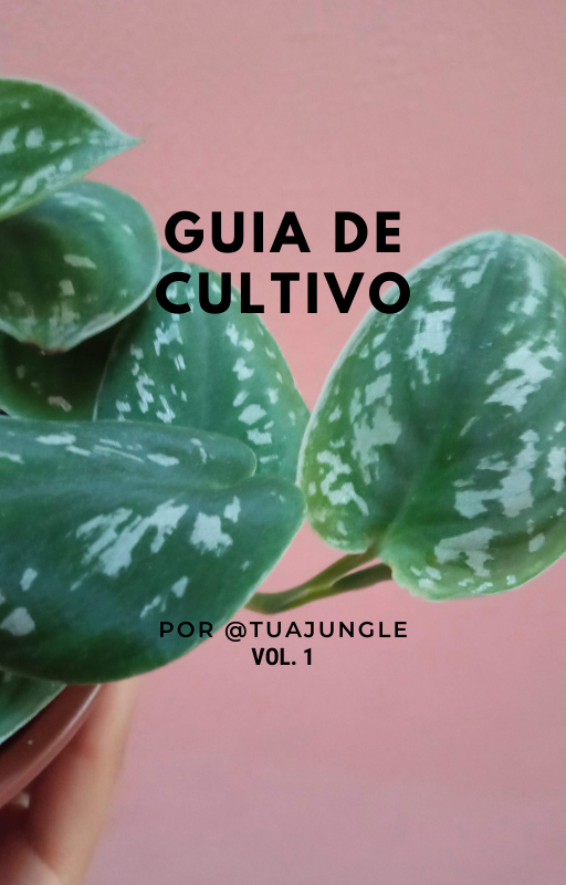 Guia de Cultivo de Plantas