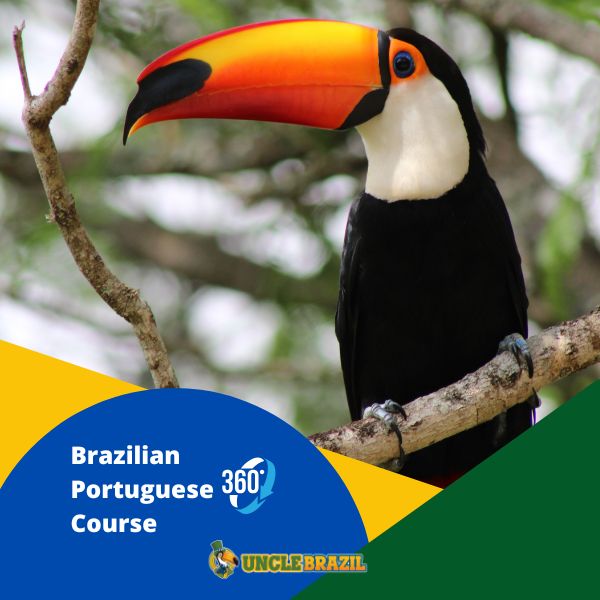 Brazilian Portuguese 360 - Complete (Installment plan)