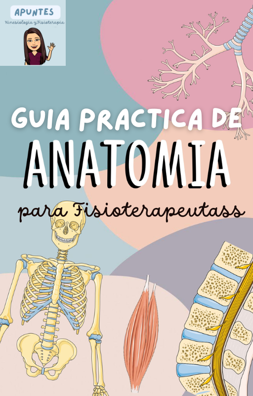 GUIA PRACTICA DE ANATOMIA PARA FISIOTERAPEUTAS - Fernanda Yanela Co...