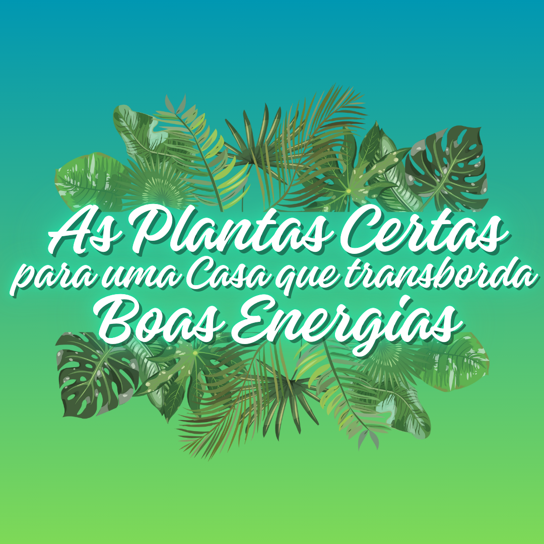As Plantas Certas para uma Casa que Transborda Boas Energias - Tali...