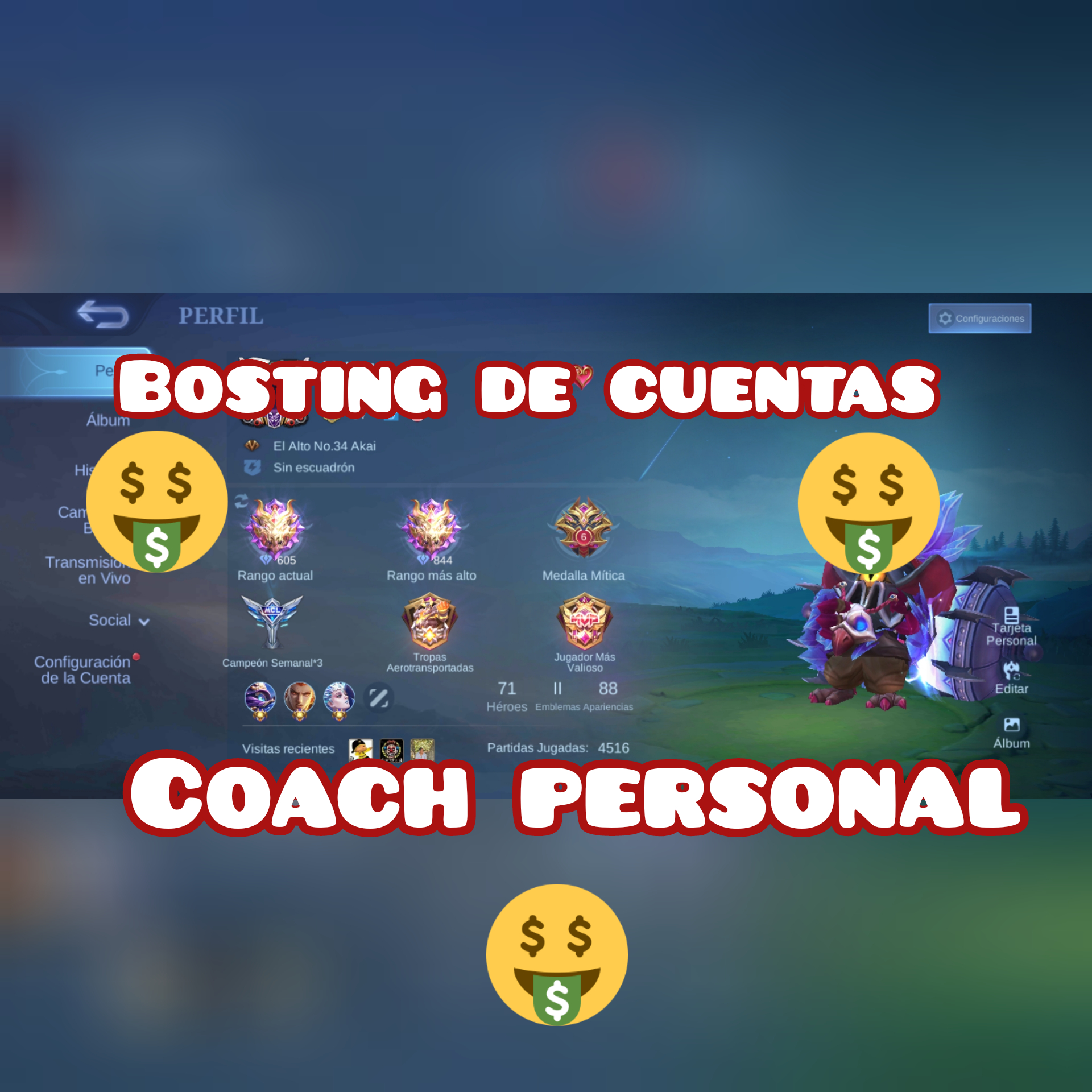 Bosting y clases privadas