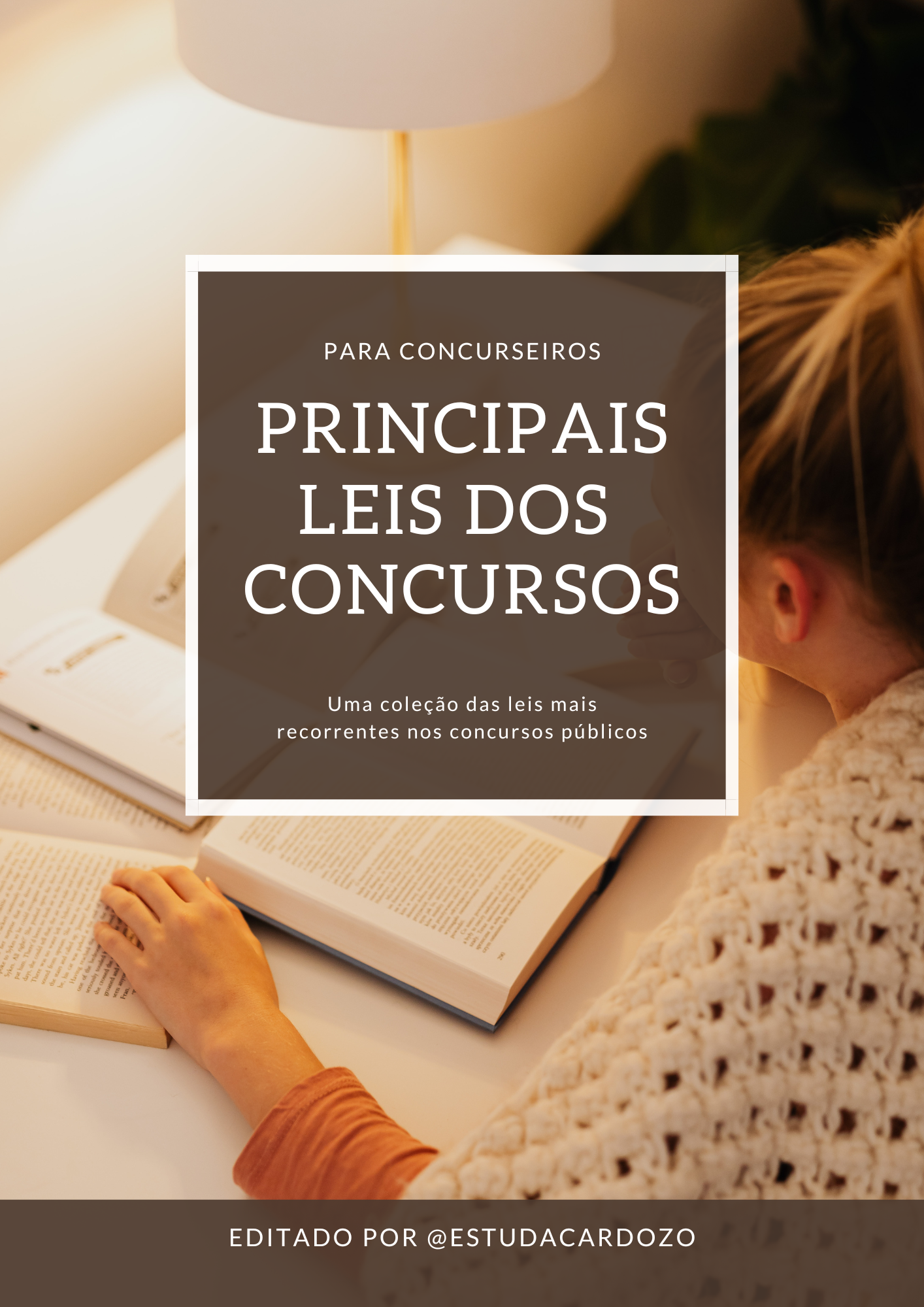 Principais Leis dos Concursos