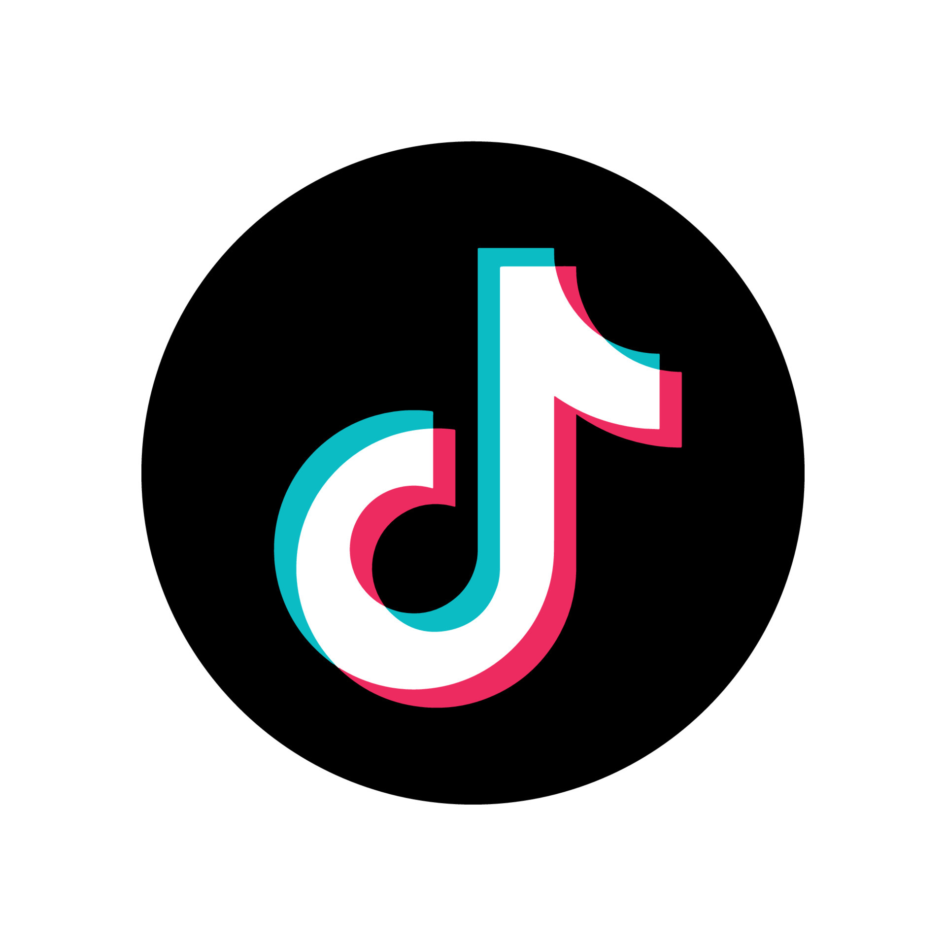 Como Viralizar No Tiktok Rafael Silva Hotmart