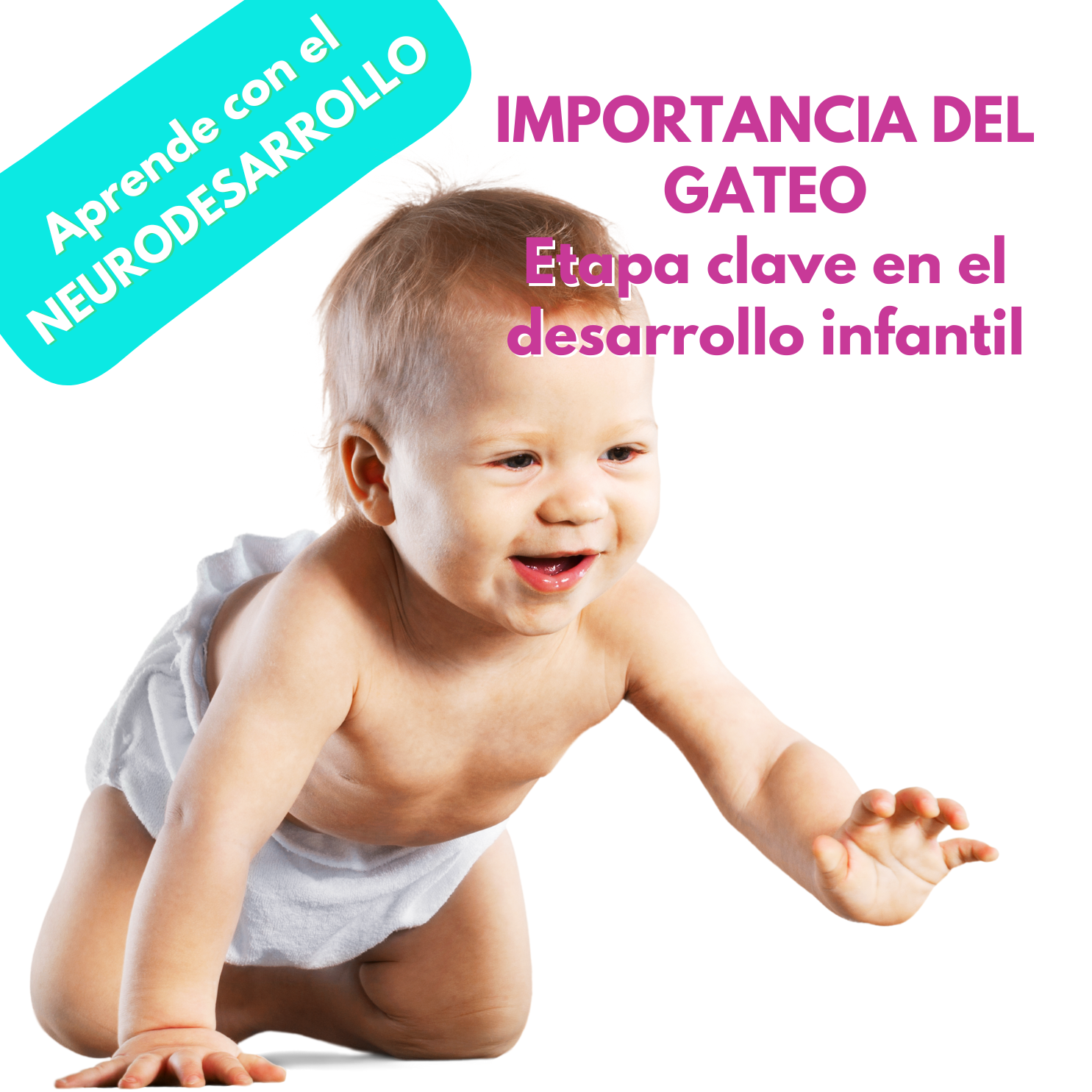 Importancia del GATEO. Taller de Neurodesarrollo - Rosina Uriarte