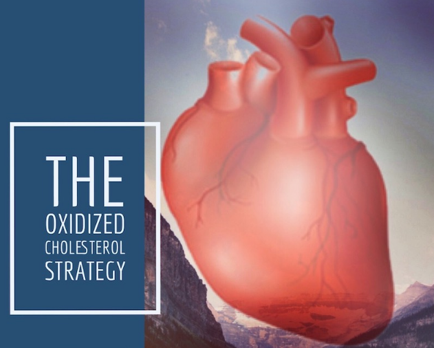 The Oxidized Cholesterol Strategy - Emerson Schmitt | Hotmart