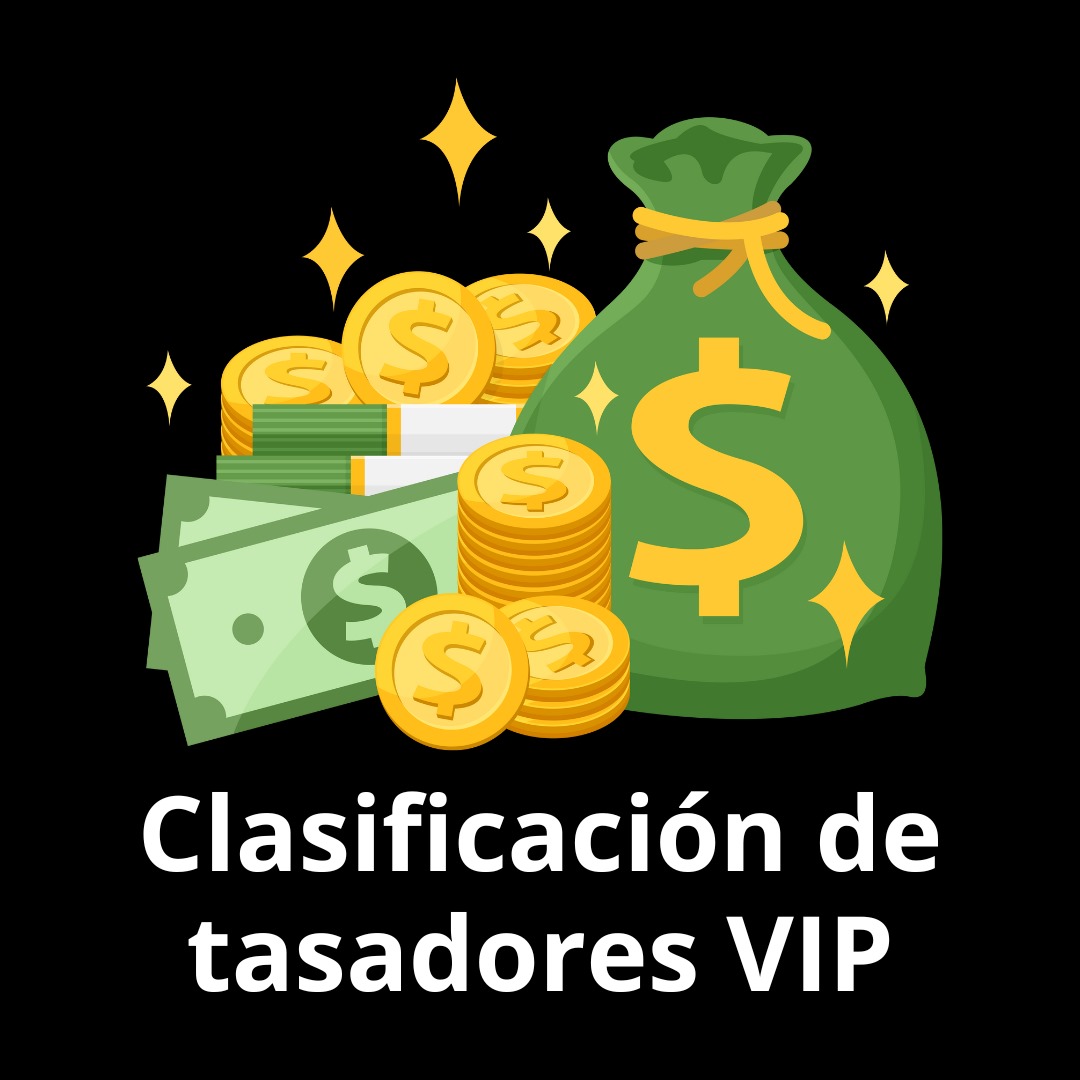 Clasificacíon de tasadores Vip