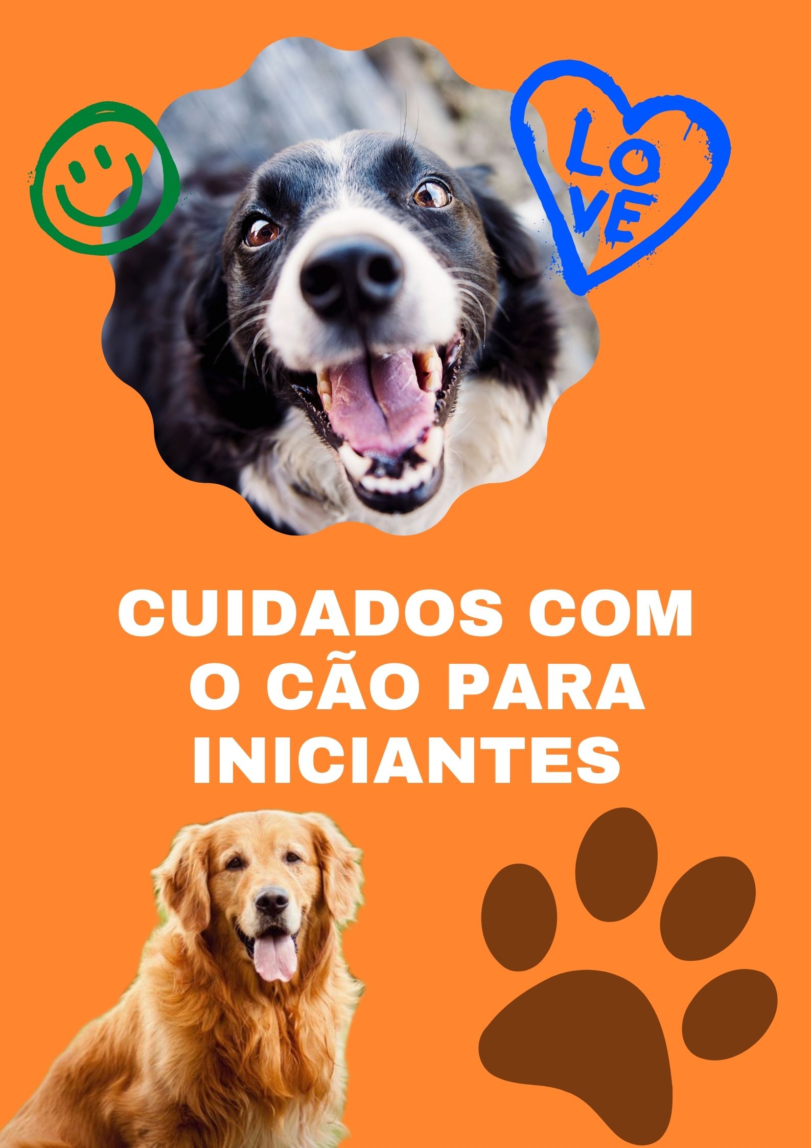 Cuidados com o Cão para Iniciantes