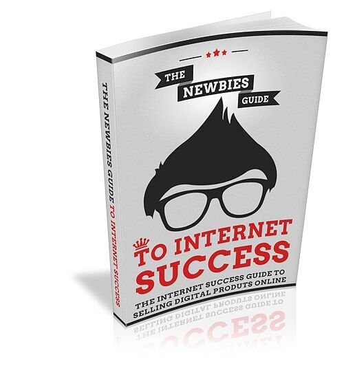 The Newbies Guide To Internet Success