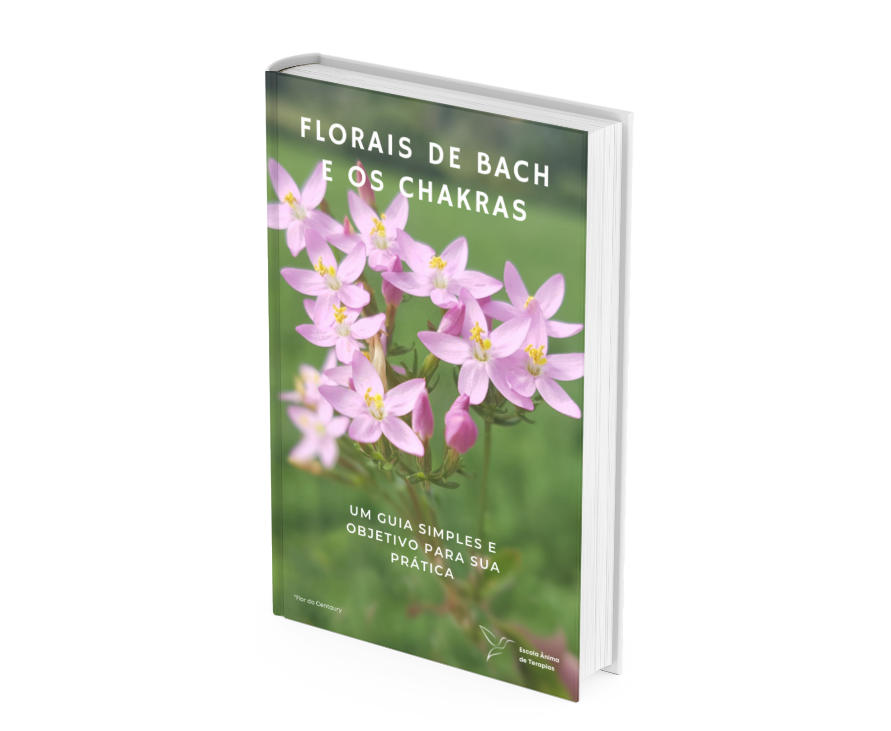 Florais de Bach e os Chakras