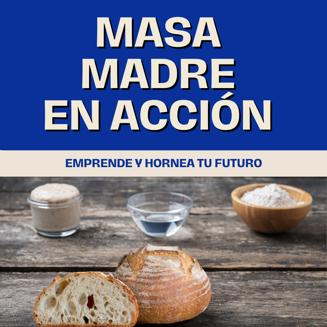 Masa madre en acción - Ibrahim Dib | Hotmart