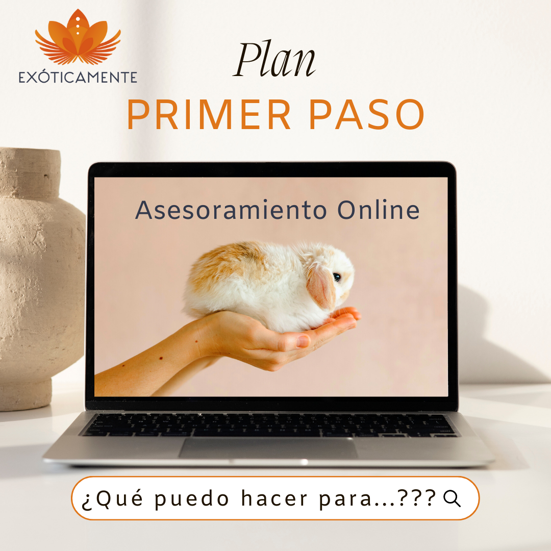 Plan Primer Paso - Asier LP | Hotmart