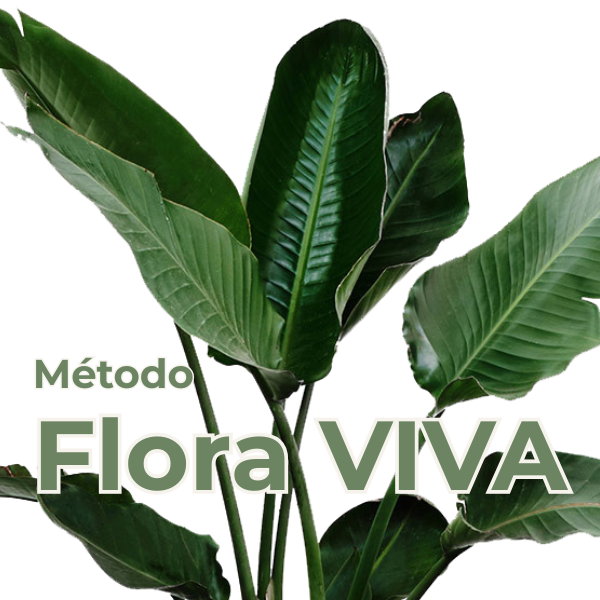 Flora Viva