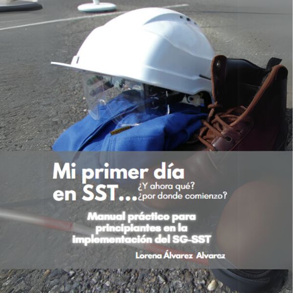 MI PRIMER DIA EN SST. Manual práctico para principiantes en la impl...