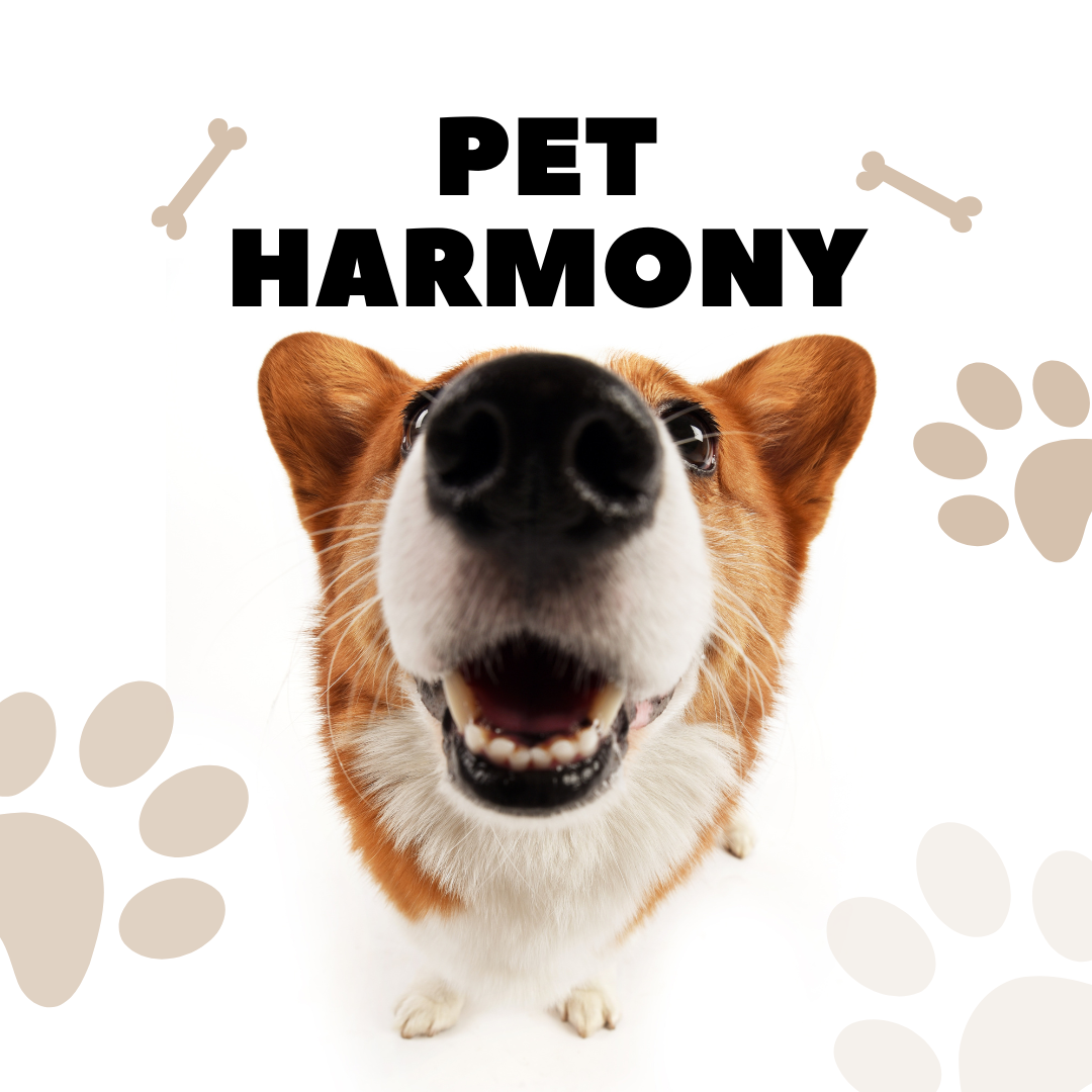 Pet Harmony - Francisco Thyallys | Hotmart