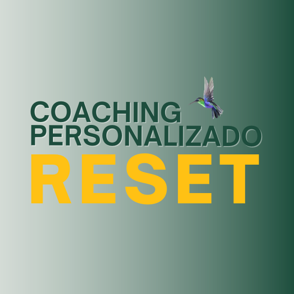 Coaching Personalizado RESET - Claudia Schatz | Hotmart