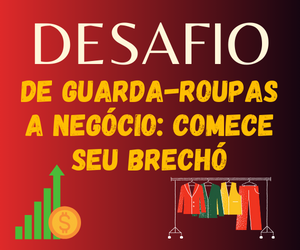 DESAFIO: De guarda-roupas a negócio - comece seu brechó - Andressa ...