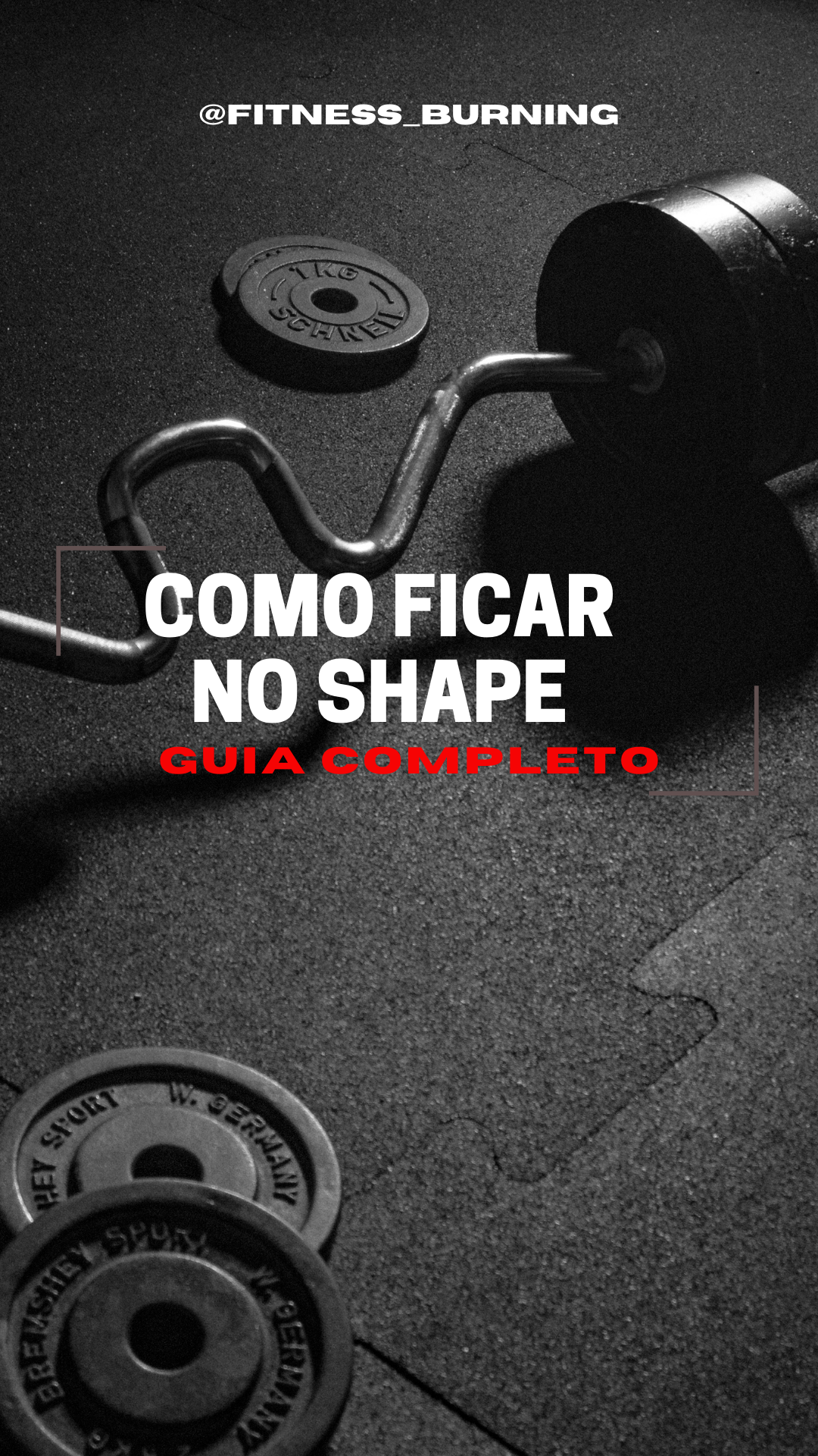 COMO FICAR NO SHAPE:guia completo - Paulo da Silva Bastos Filho | H...