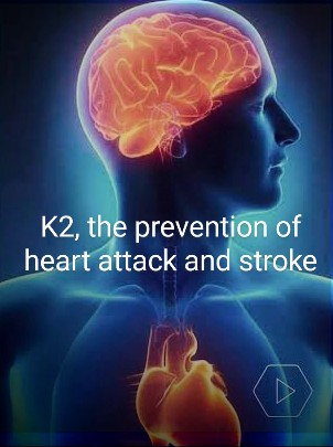 K2 Everything you need to know