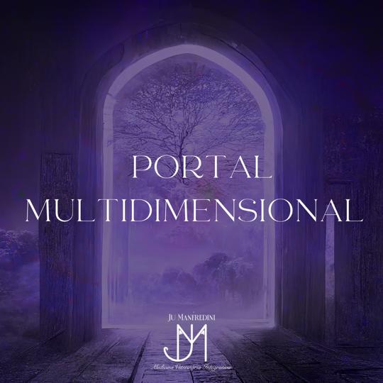 PORTAL MULTIDIMENSIONAL - Ju Manfredini | Hotmart