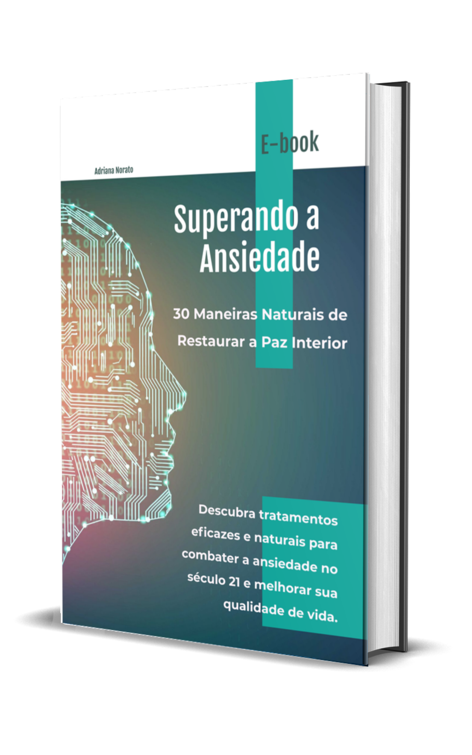 Superando a Ansiedade - ADRIANA NORATO DA SILVA | Hotmart