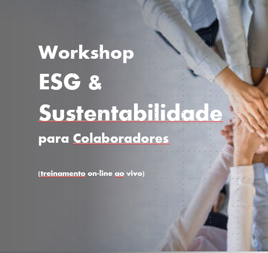 Workshop ESG e Sustentabilidade para Colaboradores (treinamento on-...