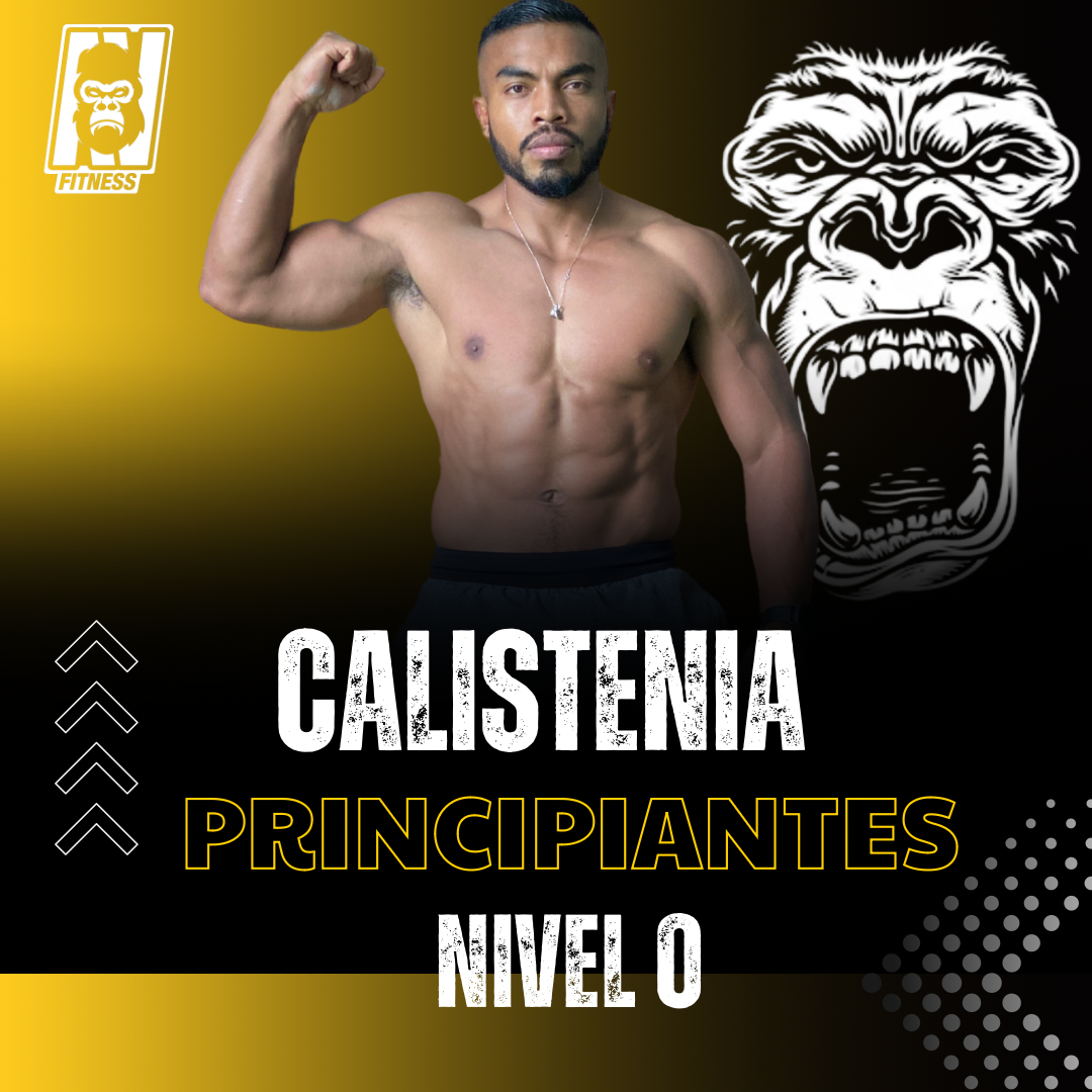 CALISTENIA PRINCIPIANTES NIVEL 0 - Edison Andrés Viveros Viracoch...